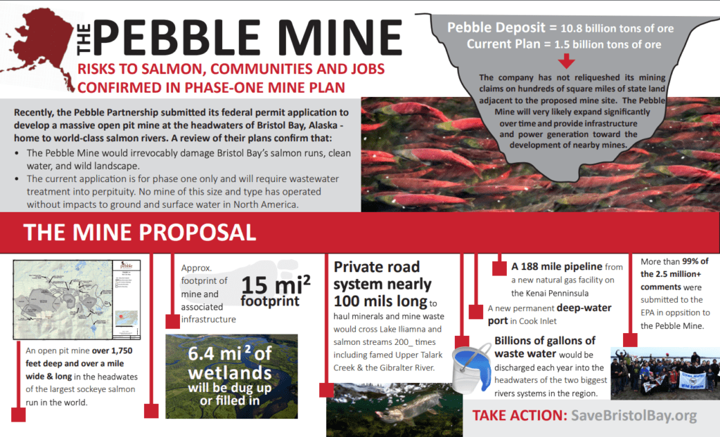 Pebble Mine – Just a Little Light