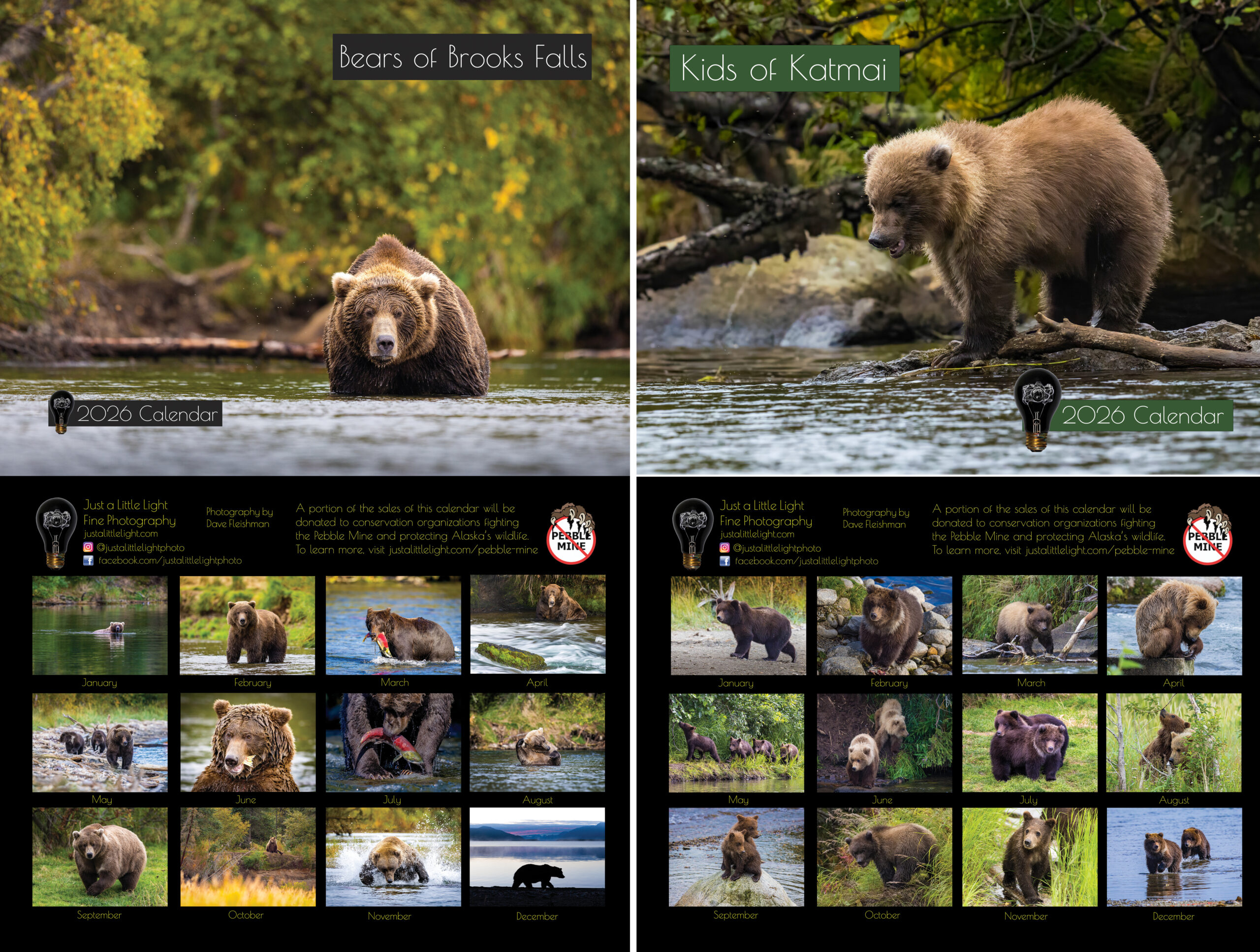 Bears of Brooks Falls & Kids of Katmai 2026 Calendars (both) - Just a ...